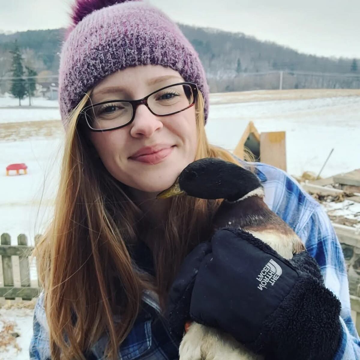 What Are Call Ducks? Everything You Need To Know - Donvey Farms