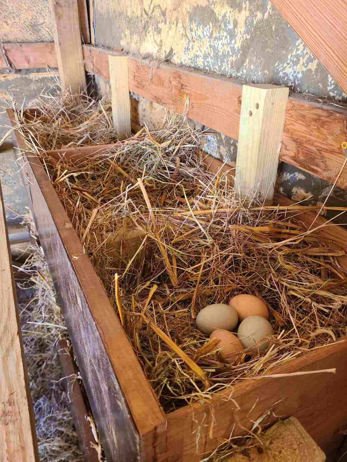Simple & Cheap DIY Nesting Boxes From Dresser Drawers - Donvey Farms