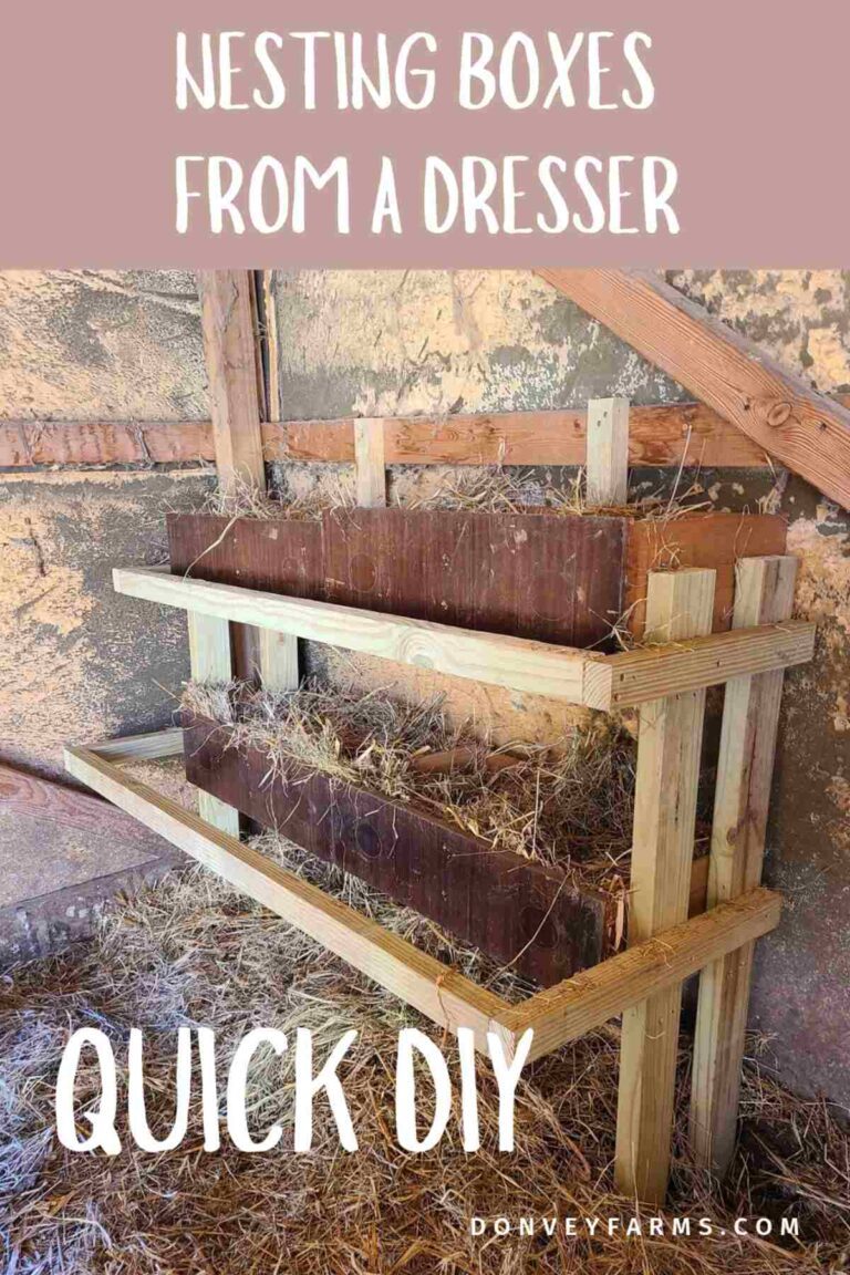Simple & Cheap DIY Nesting Boxes From Dresser Drawers - Donvey Farms